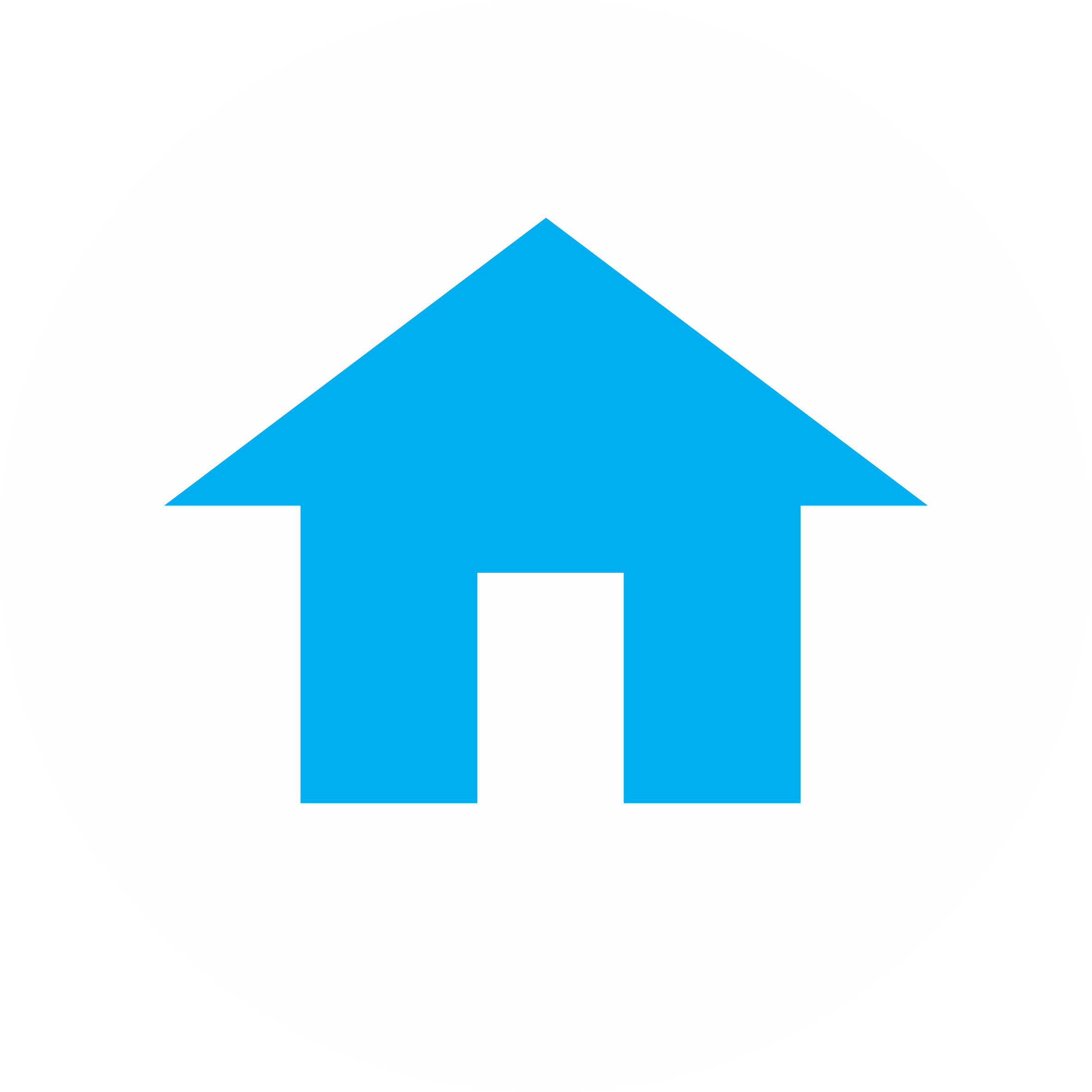 Express Cargo Ltd.